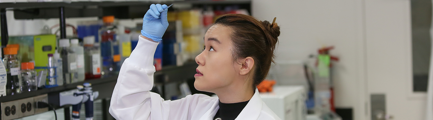 Research: Department of Radiology: Feinberg School of Medicine