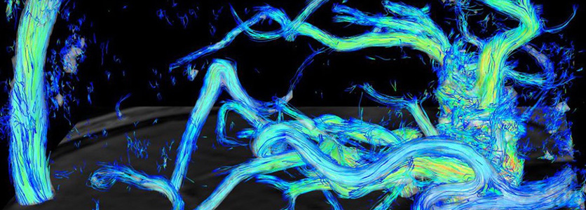 Medical Imaging Science Training Program: Department of Radiology ...